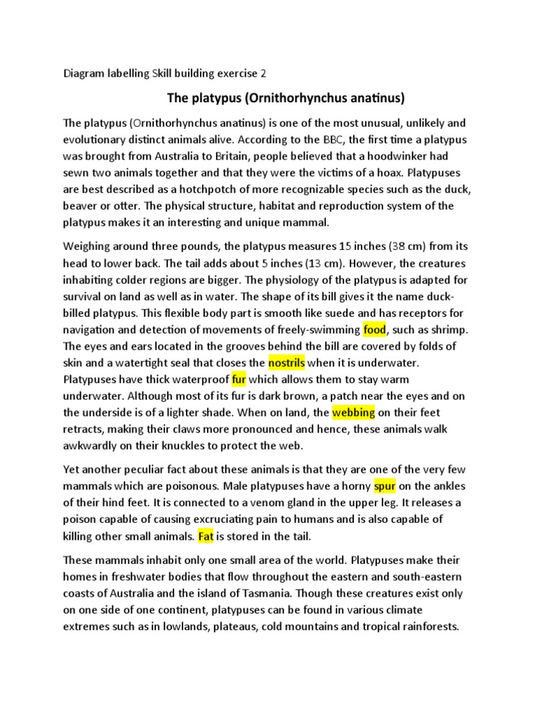 The Platypus (Ornithorhynchus Anatinus) | PDF | Organisms