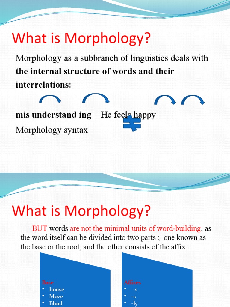 6 - What Is Morphology | PDF | Part Of Speech | Word