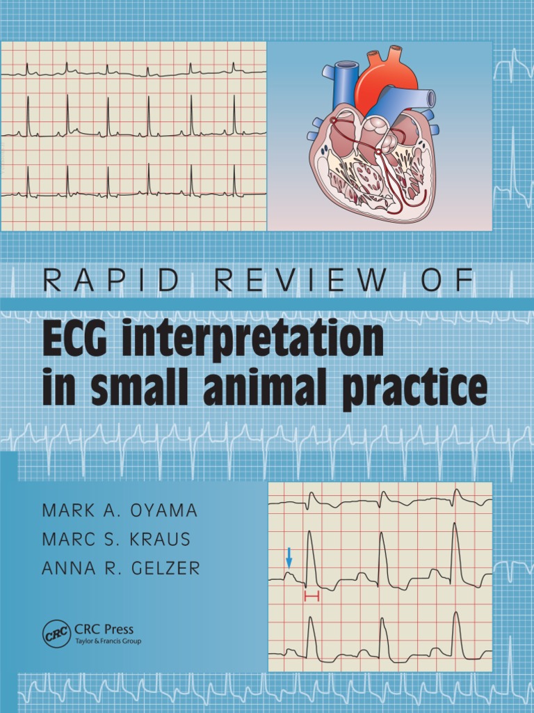 Rapid Review of ECG Interpretation in Small Animal Practice | PDF ...