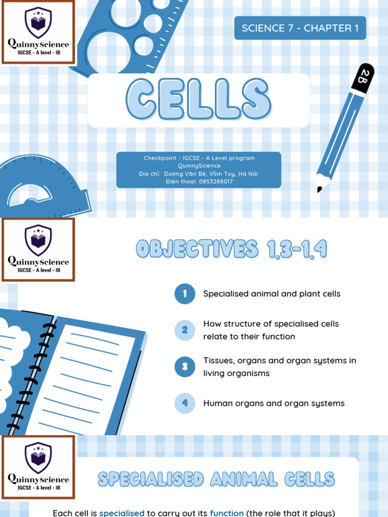 Science 7 Chapter 1 - Cells 1.3-1.4 | PDF | Cell (Biology) | Tissue ...