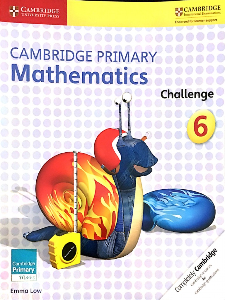 Maths Challenge 6 | PDF