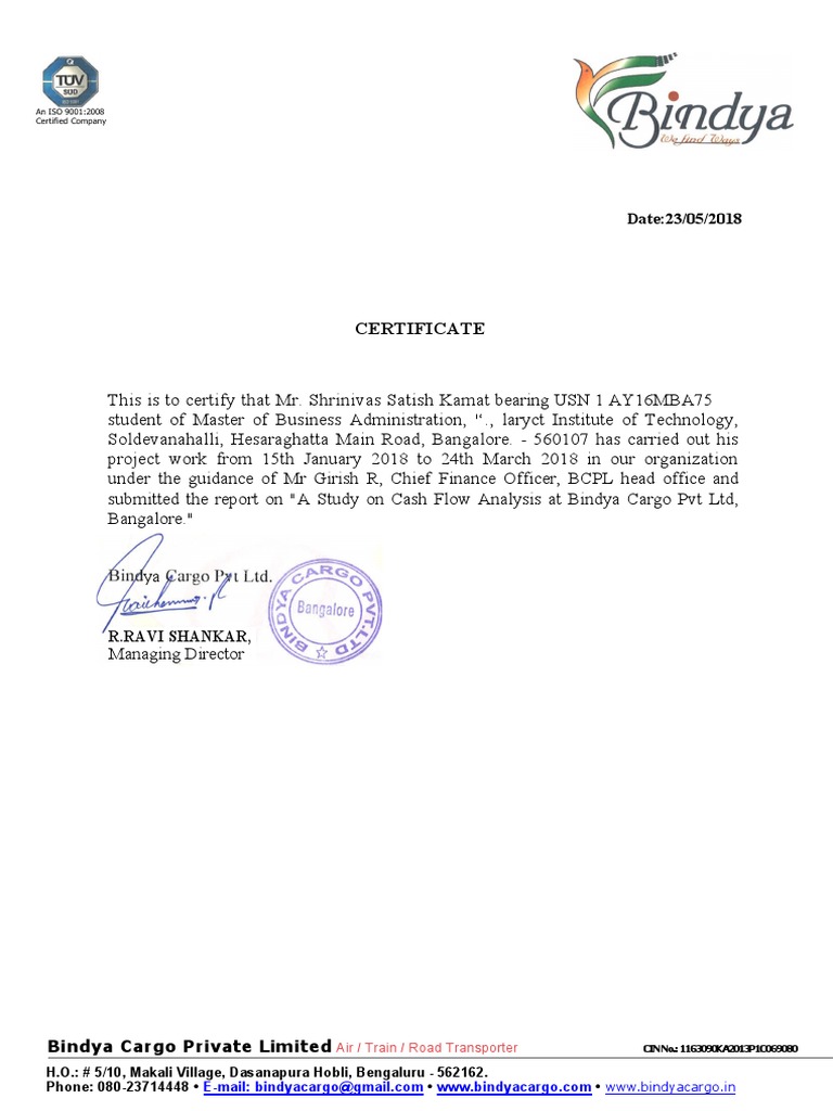 Cash Flow Analysis at Bindya Cargo | PDF | Cash Flow Statement | Debt