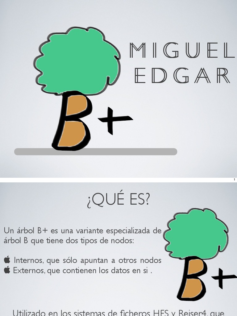 Arbol B+ Ó B | Descargar gratis PDF | Programación de computadoras ...