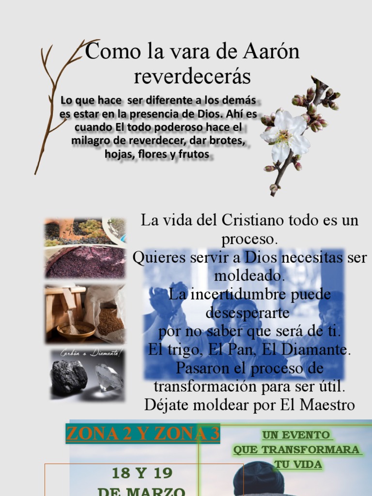 Como La Vara de Aarón Reverdecerás | PDF