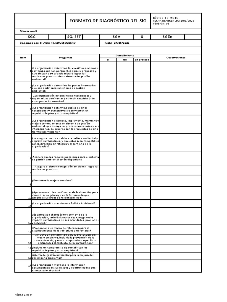 Formato de Diagnóstico SIG | PDF | Calidad (comercial) | Planificación