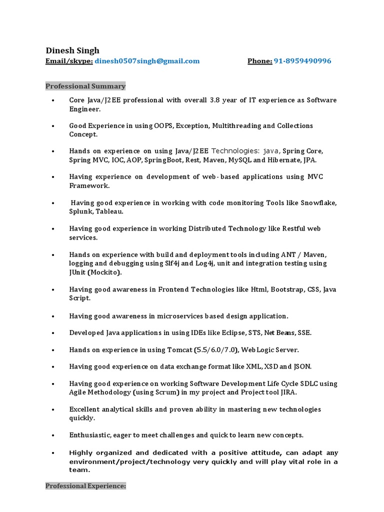 Dinesh Singh: Professional Summary | PDF | Spring Framework | Java Platform