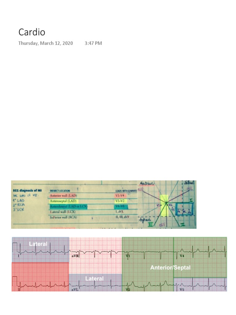 Cardiology Notes USMLE Step CK | PDF | Heart | Cardiovascular Physiology