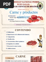 Anillos de Contusión y Enjugamiento | PDF | Mecanica clasica | Cambio