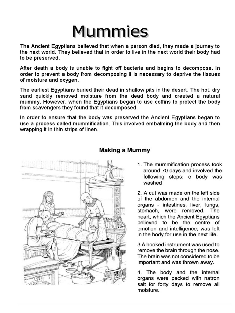 Making A Mummy | PDF | Mummy | Decomposition