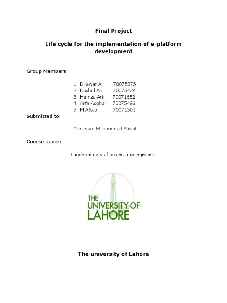 Project Management Final Project | PDF | Project Management ...