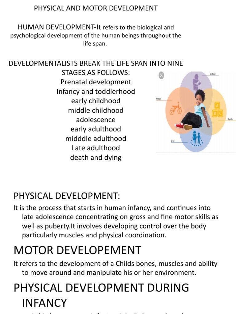 Physical and Motor Development | Download Free PDF | Infants ...