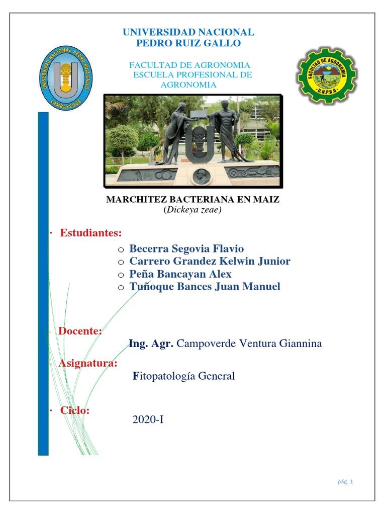 Marchitez Bacteriana en Maíz - FAG | PDF | Las bacterias | Patologia de ...