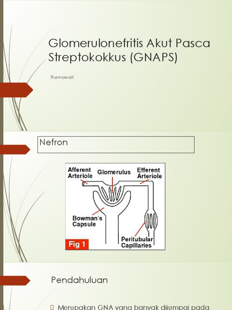 8.1 Glomerulonefritis Akut Pasca Streptokokkus (GNAPS) | PDF