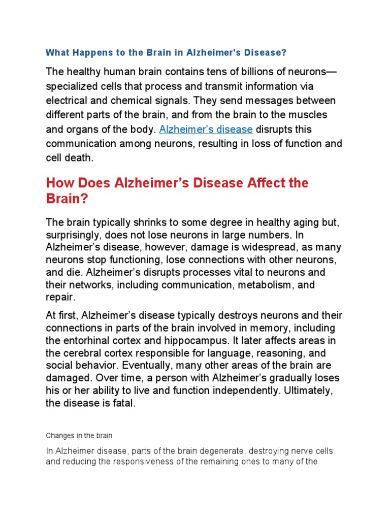 How Does Alzheimer's Disease Affect The Brain? | PDF | Alzheimer's Disease | Brain