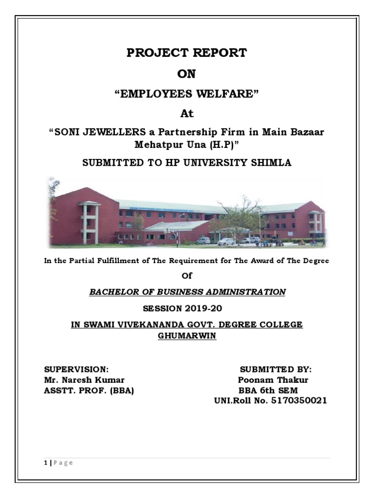 Project Report Bba | PDF | Employment | Sampling (Statistics)