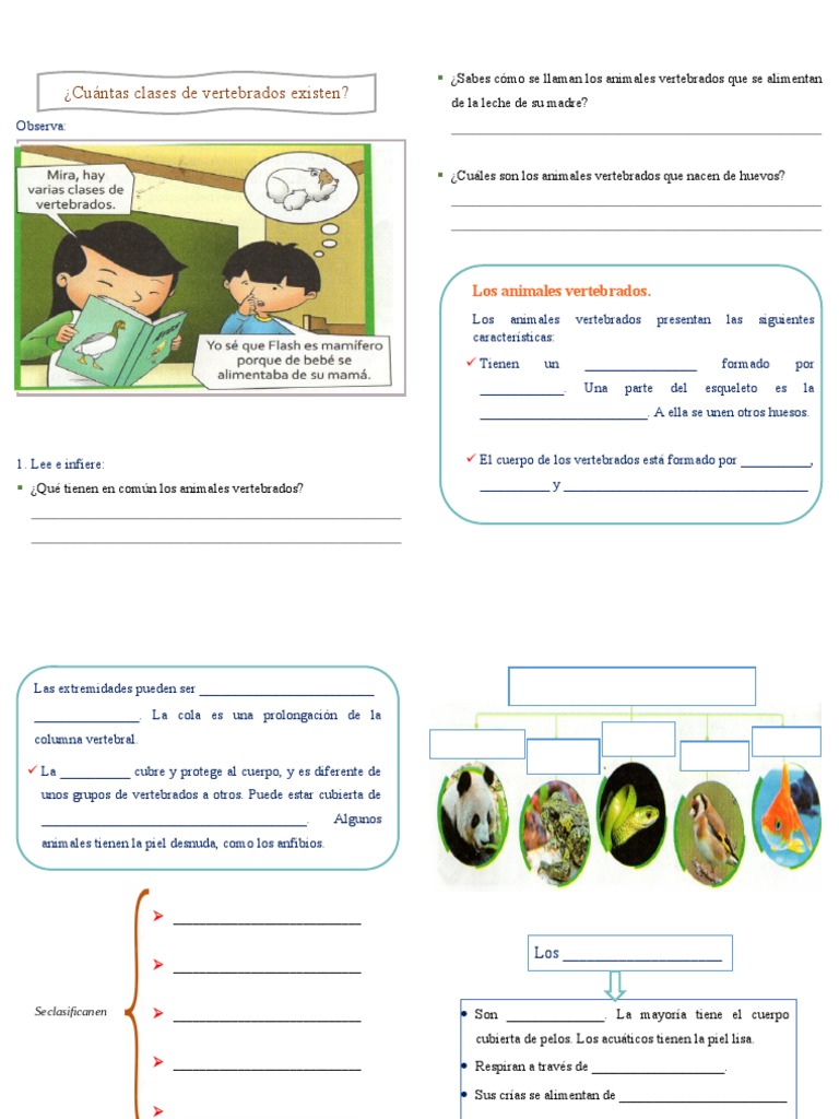 Los principales grupos de animales vertebrados | PDF | Pescado ...