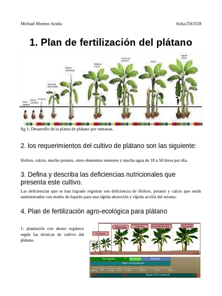 Plan de Fertilizacion | PDF