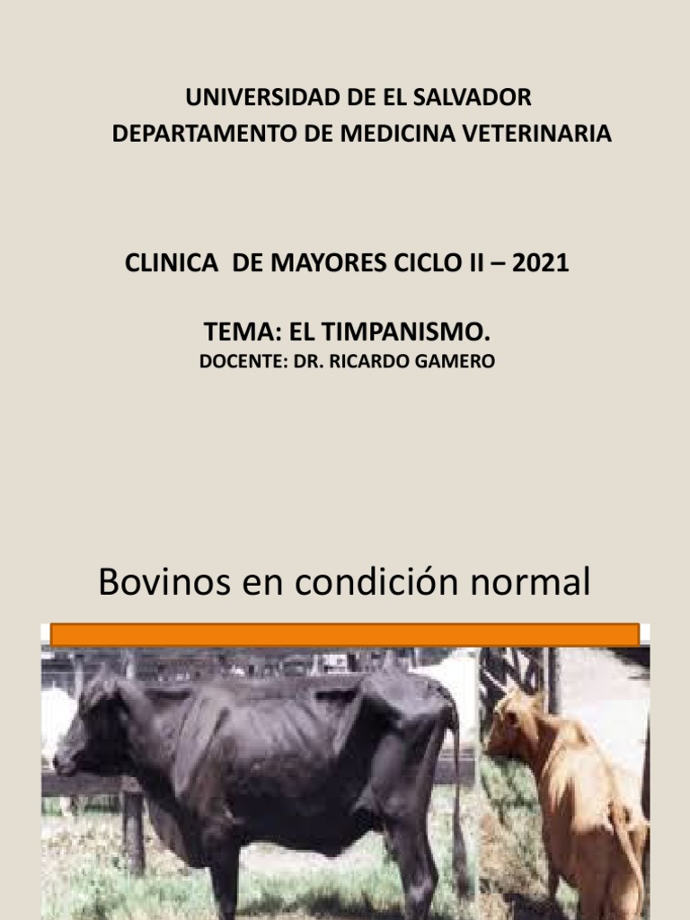 Timpanis Mo | PDF | Ph | Especialidades Medicas