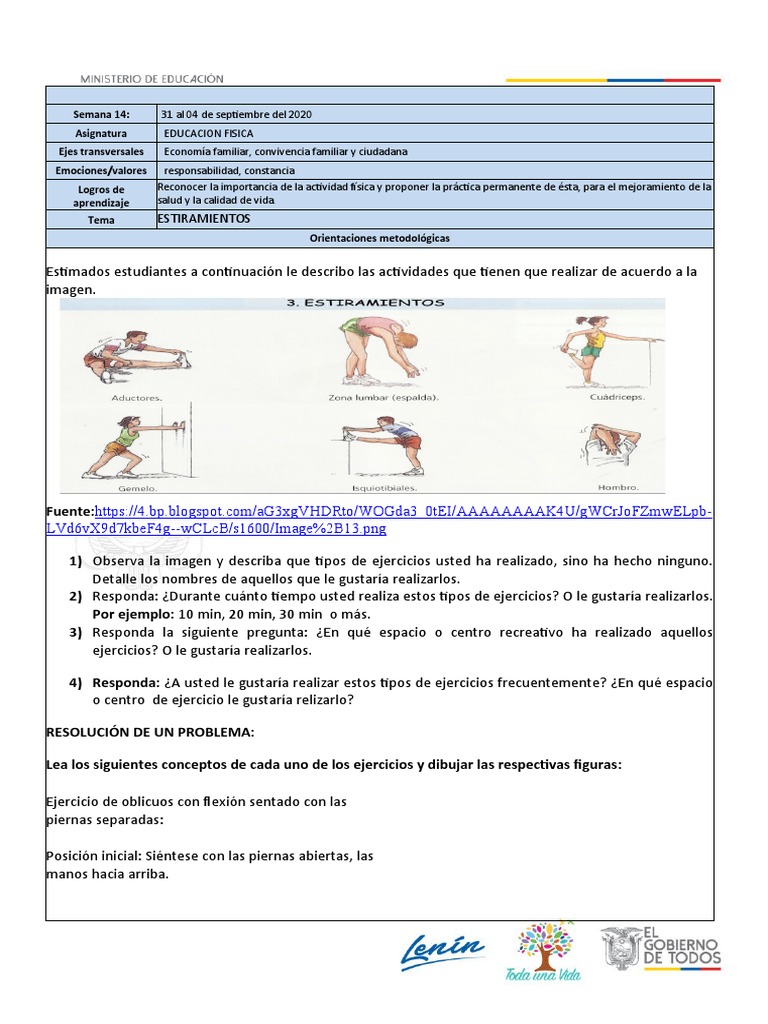 Estiramientos en Educación Física | PDF | Rodilla | Pie
