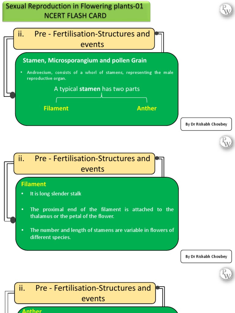 Sexual Reproduction in Flowering Plants Ncert Flash Card 01 | PDF ...