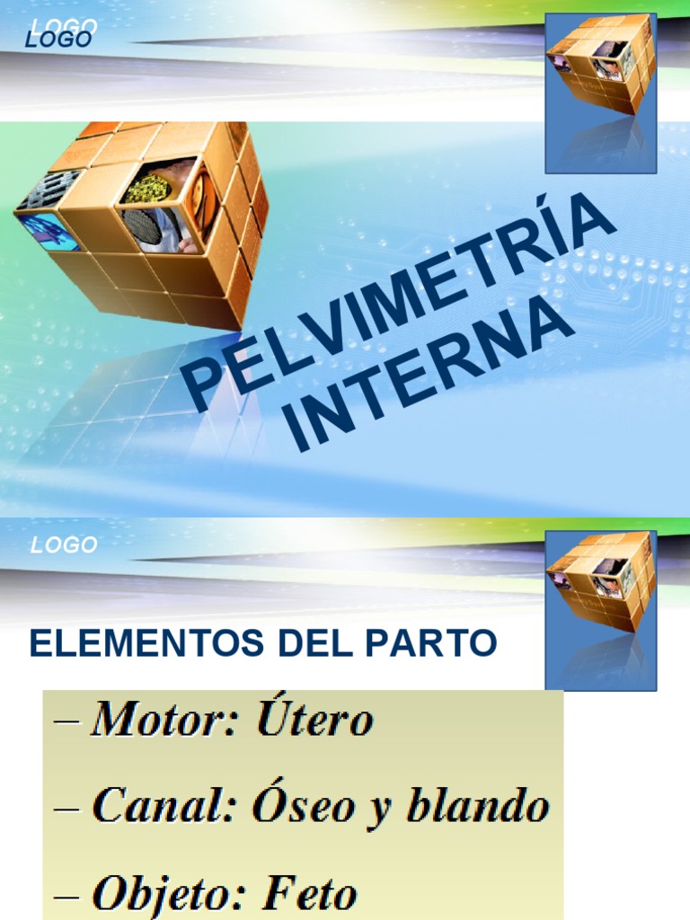 pelvimetria interna | Pelvis | Parto
