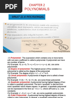 Polynomials Project | PDF | Polynomial | Mathematics Of Computing
