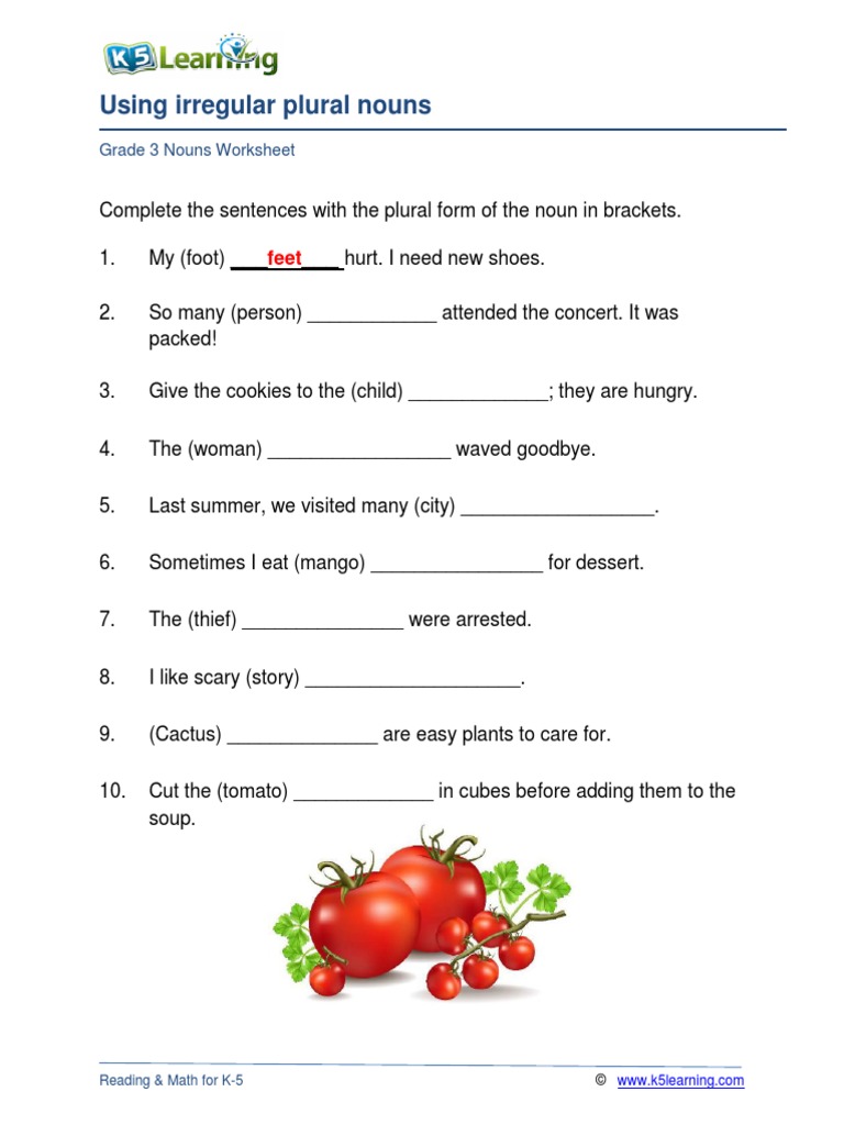 Grade 3 Irregular Plural Nouns B | PDF | Language Arts & Discipline ...