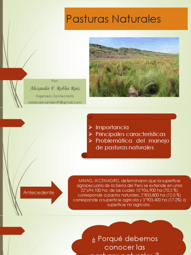 Manejo y Importancia de Pasturas Naturales | PDF | Agricultura | Agua