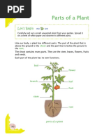 Plant Structure and Functions Guide | PDF | Plants | Leaf