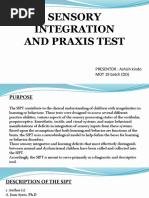 Sensory Integration and Praxis Test (SIPT) | PDF | Perception ...