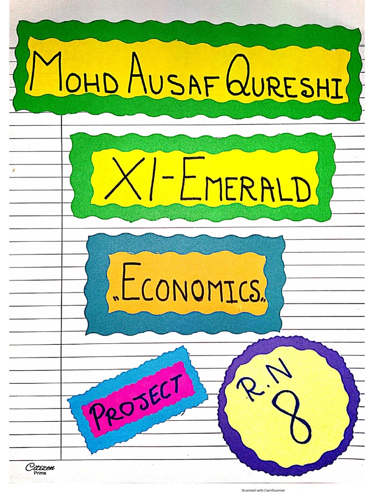 Economics Project Class 11 | PDF