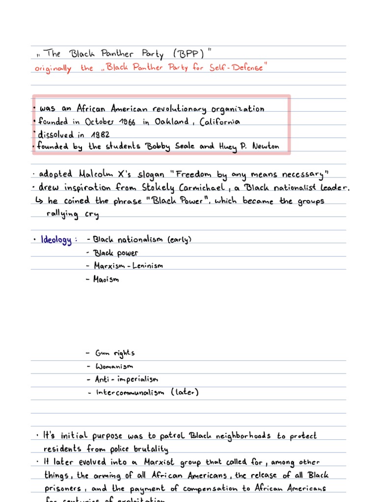 Black Panthers | PDF