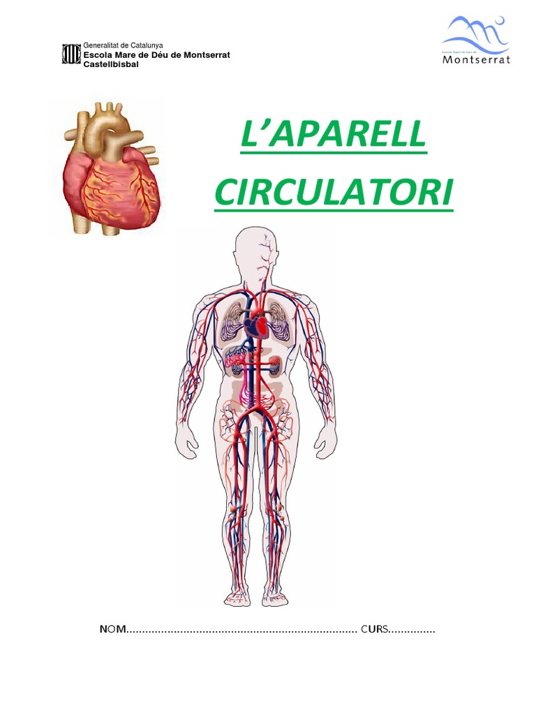 Aparell Circulatori | PDF