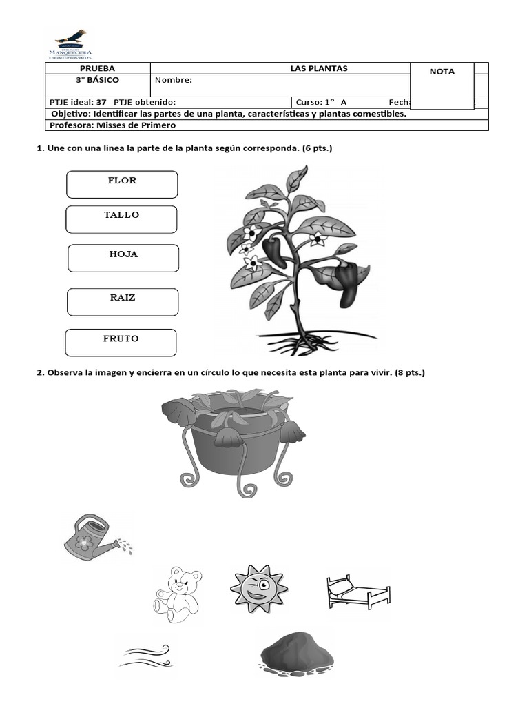 Resultados de una prueba sobre partes de plantas, características y ...