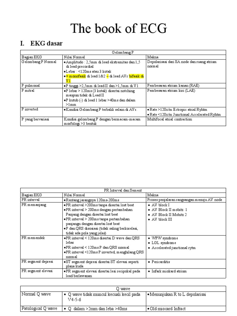 The Book of ECG Fikri | PDF