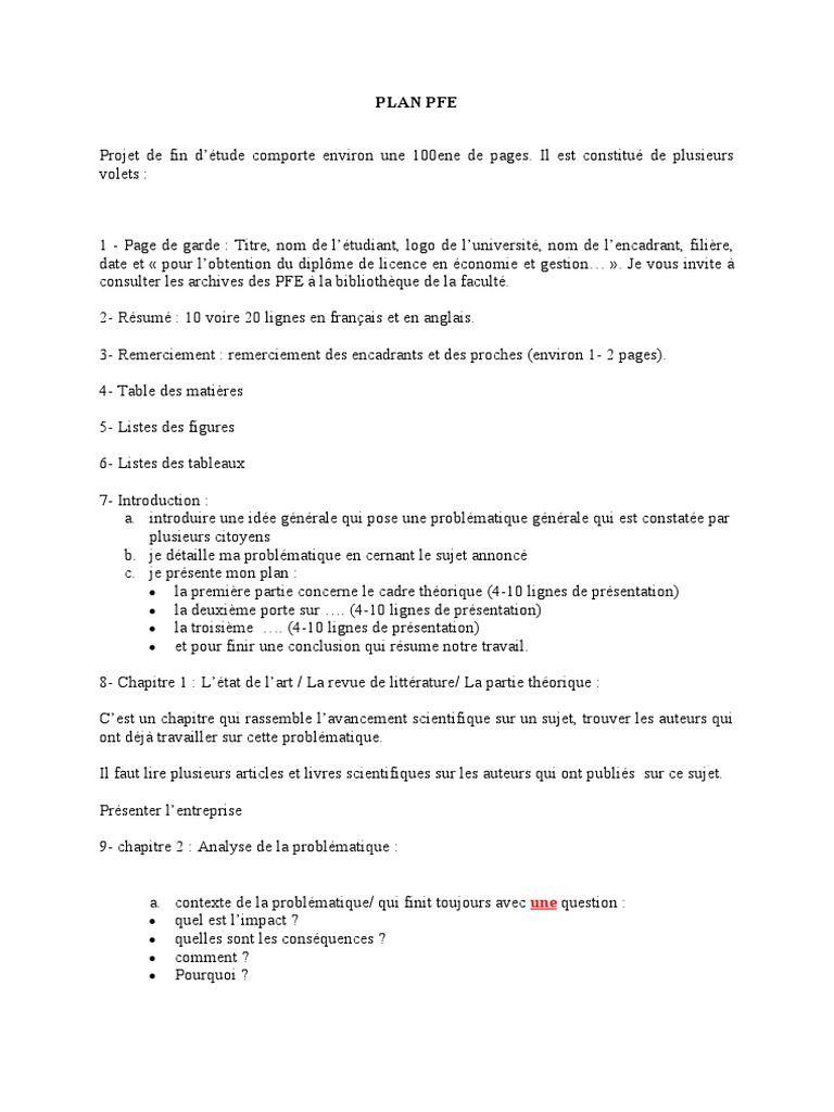 Plan Pfe | PDF | Gestion de la relation client | Business