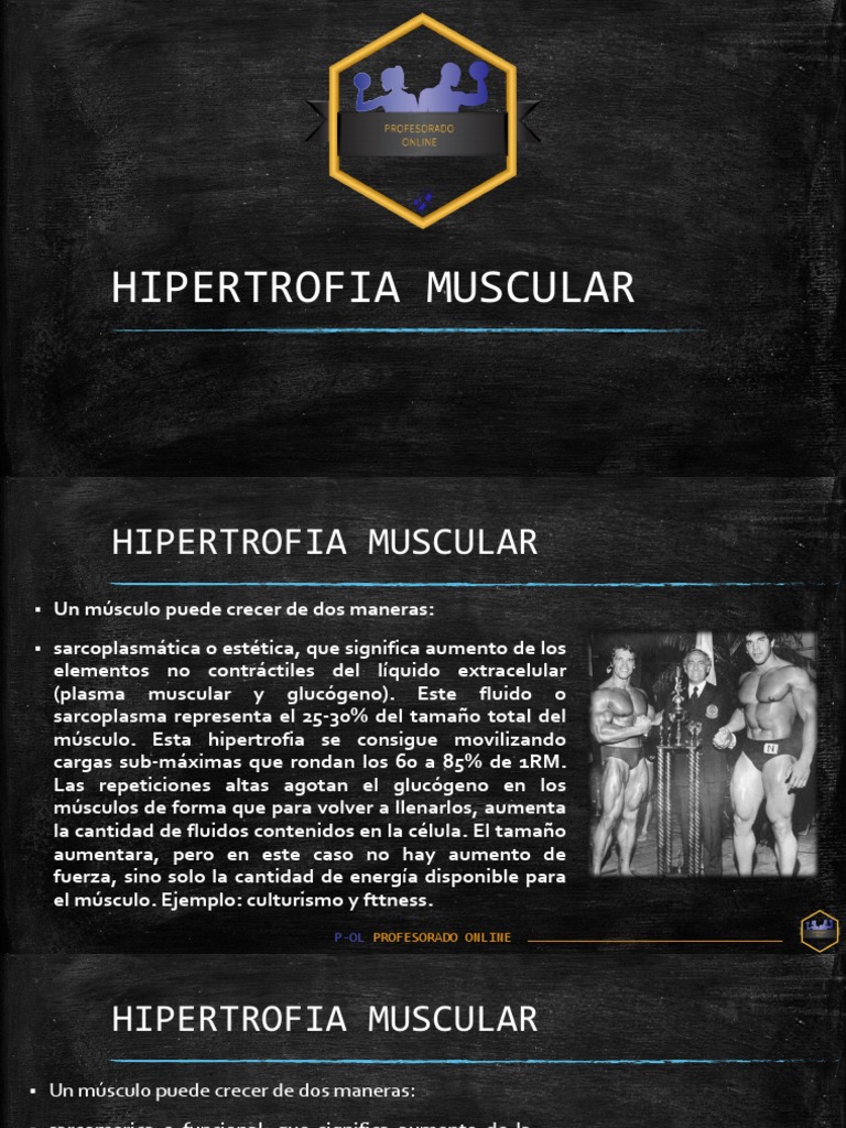 Hipertrofia Muscular: Tipos y Entrenamiento | PDF | Hipertrofia ...