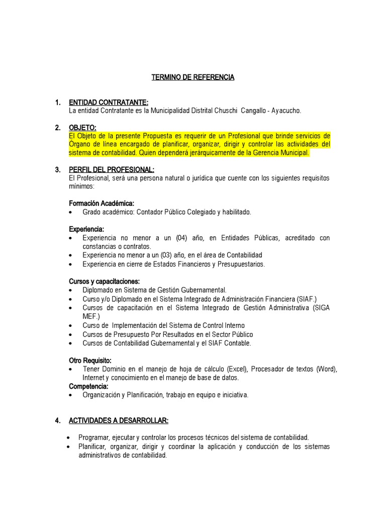 TDR Modelo | PDF | Contabilidad | Presupuesto