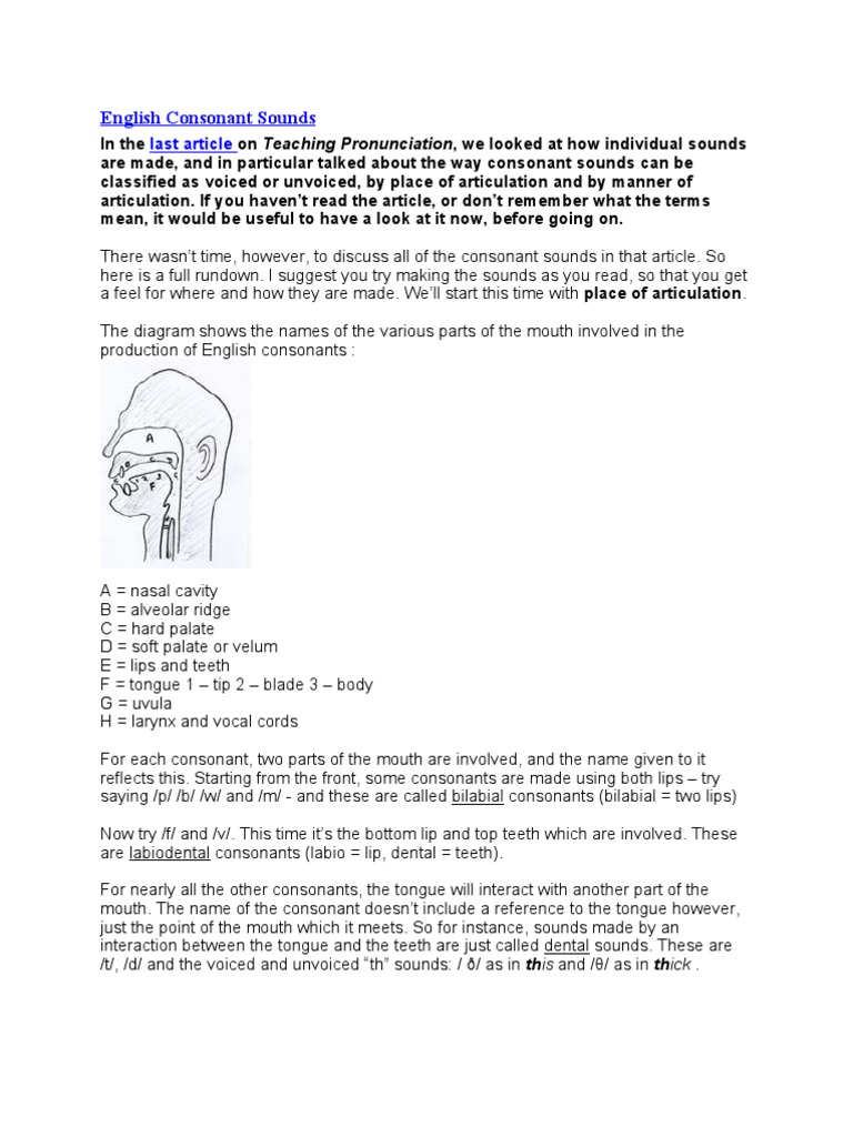 English Consonant Sounds Explained | PDF | Consonant | Phonology