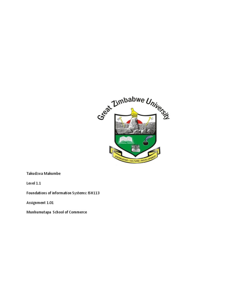 Assignment 1 0 Information Systems PDF Inventory Management 
