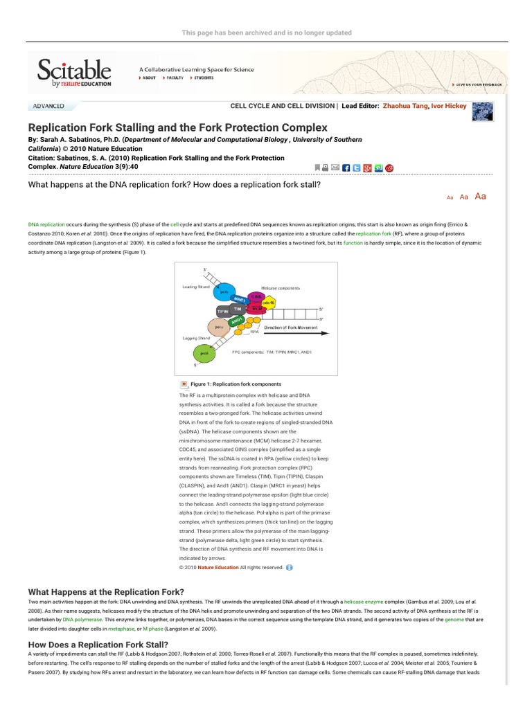Replication Fork Stalling and The Fork Protection Complex | PDF | Dna ...