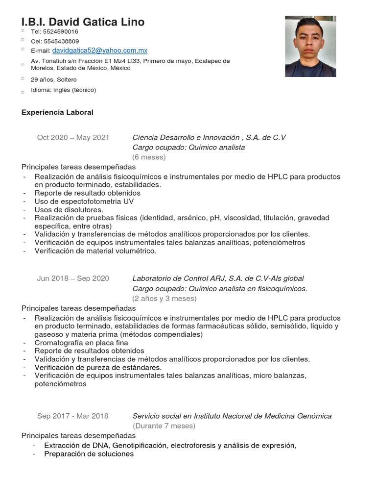 David Gatica Lino CV | PDF