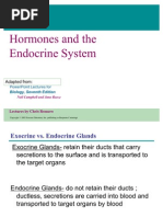 The Endocrine System: Seventh Edition | PDF | Hormone | Adrenal Gland