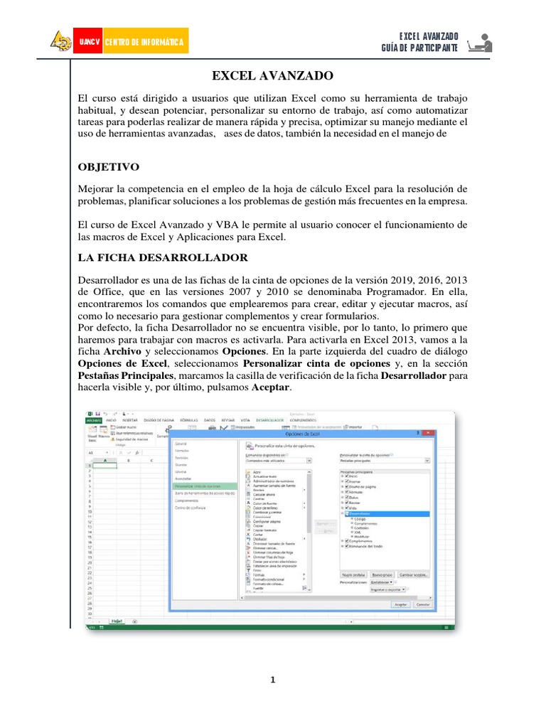 Excel Avanzado 01 | PDF | Microsoft Excel | Visual Basic para Aplicaciones