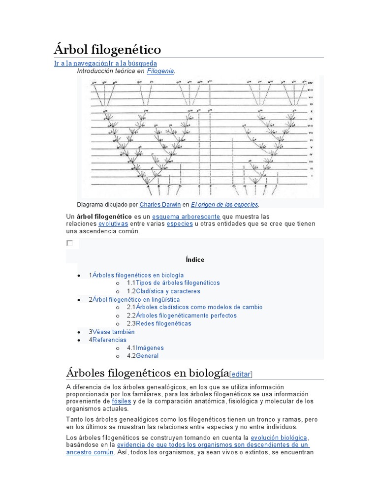Árbol filogenético | PDF | Árbol filogenético | Biología evolucionaria