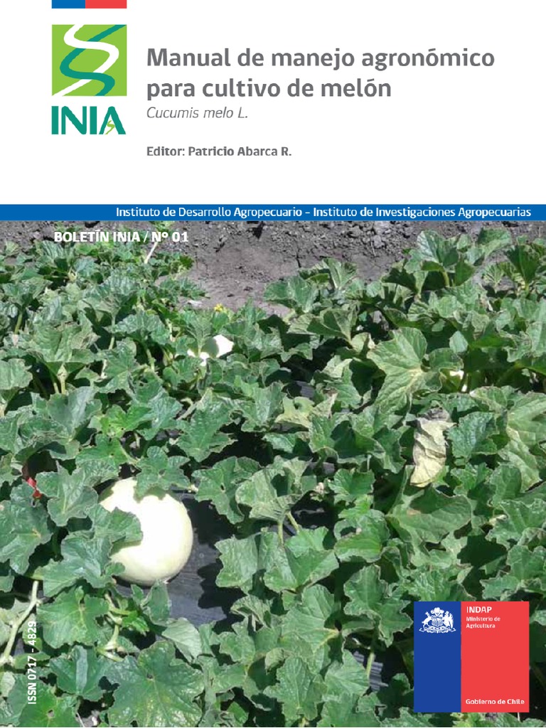 Manual Melon | PDF