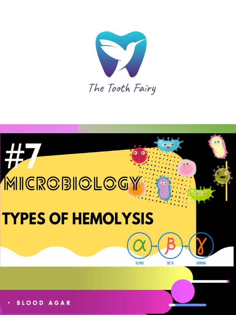 Types of Hemolysis | PDF | Streptococcus | Bacteria