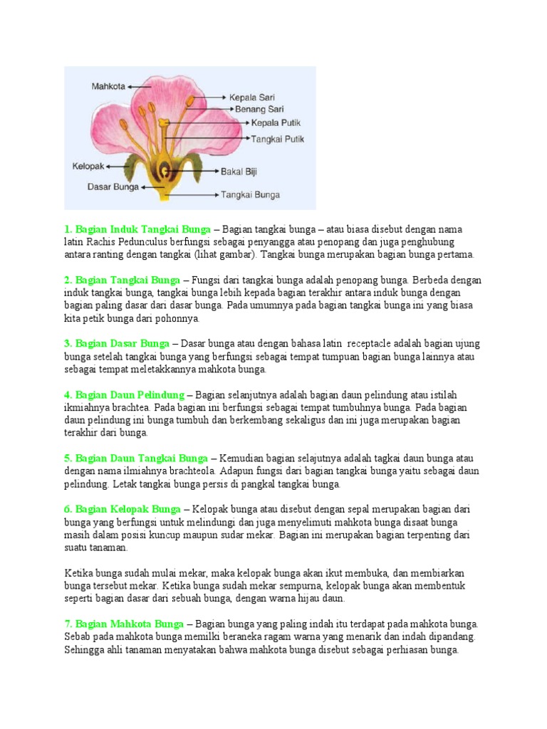 Struktur dan Jenis Bunga Lengkap | PDF