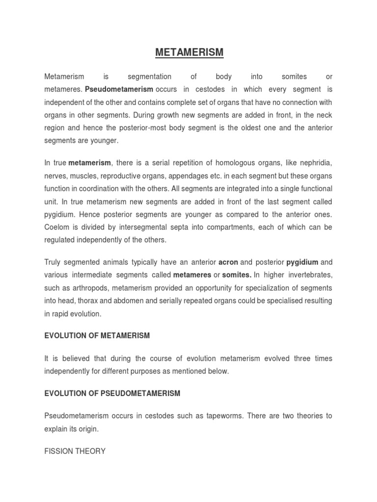 Evolution of Metamerism | PDF | Organisms | Zoology