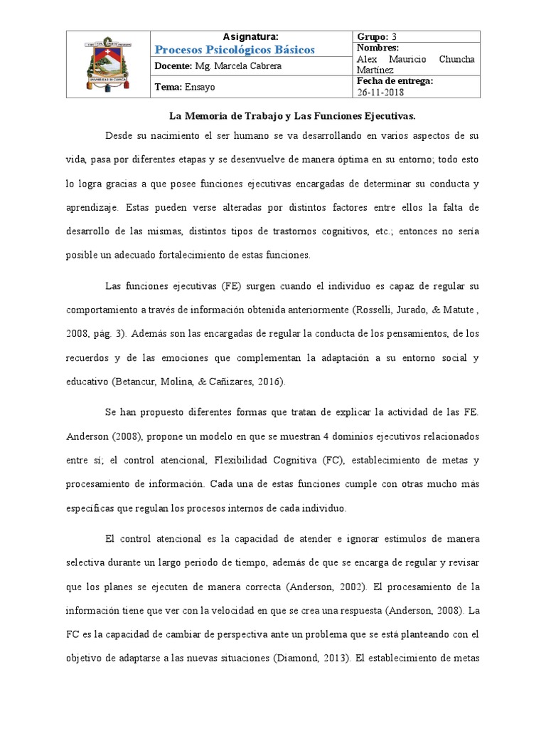 Memoria de Trabajo y Funciones Ejecutivas | PDF | Aprendizaje | Memoria